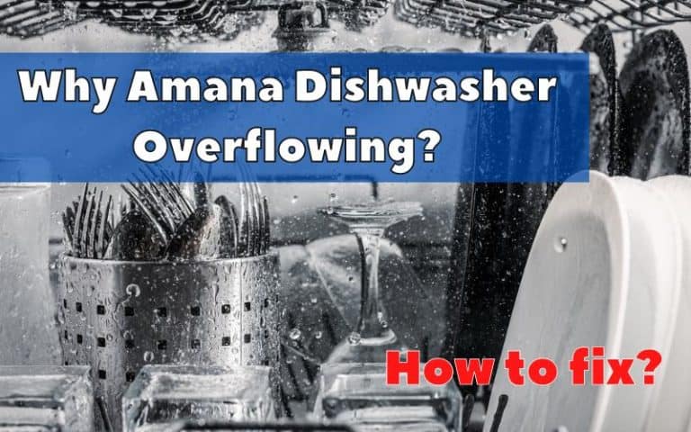 Why Is My Dishwasher Overflowing? 5 Things You Should Check