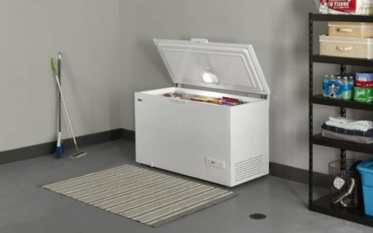 Can You Put a Freezer Outside in a Shed? - How To Fix It